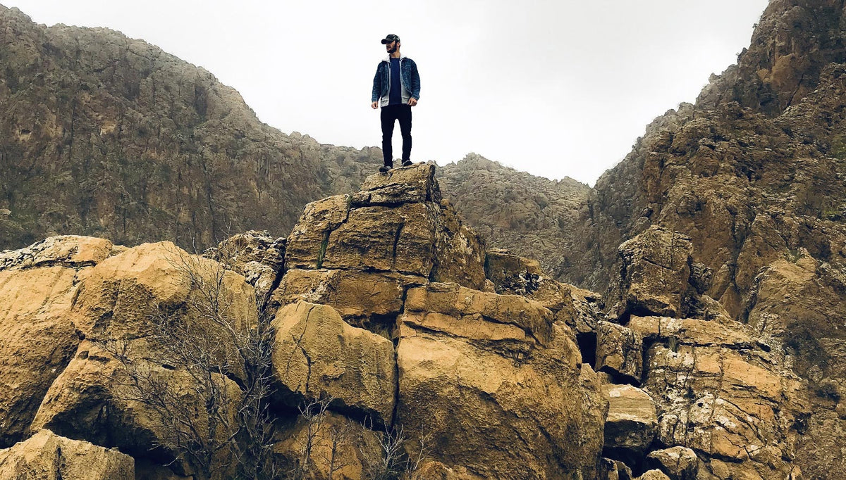 The Science of Motivation: Understanding What Drives Us and How to Har ...